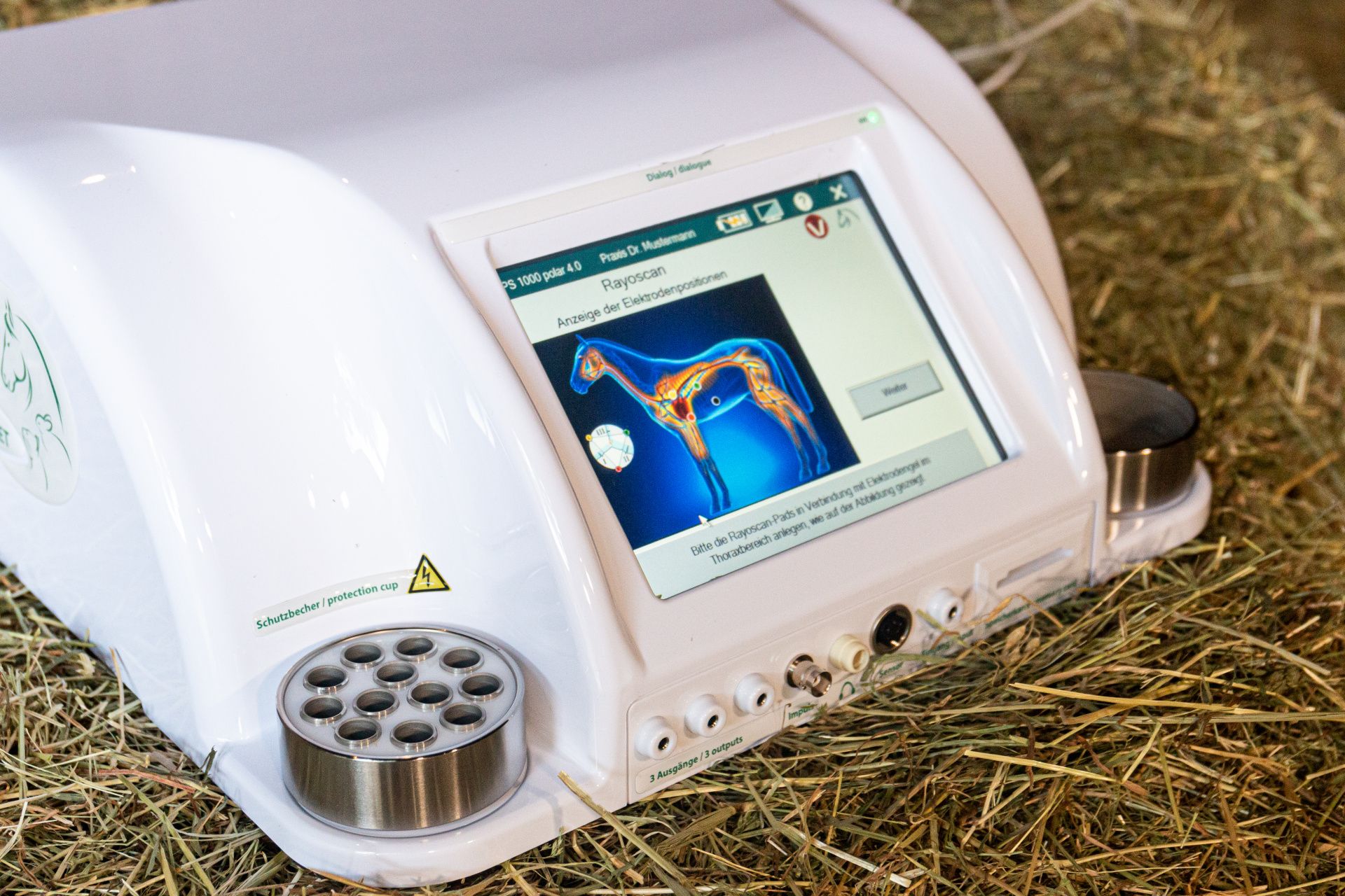 Veterinary medicine | Rayonex Biomedical GmbH